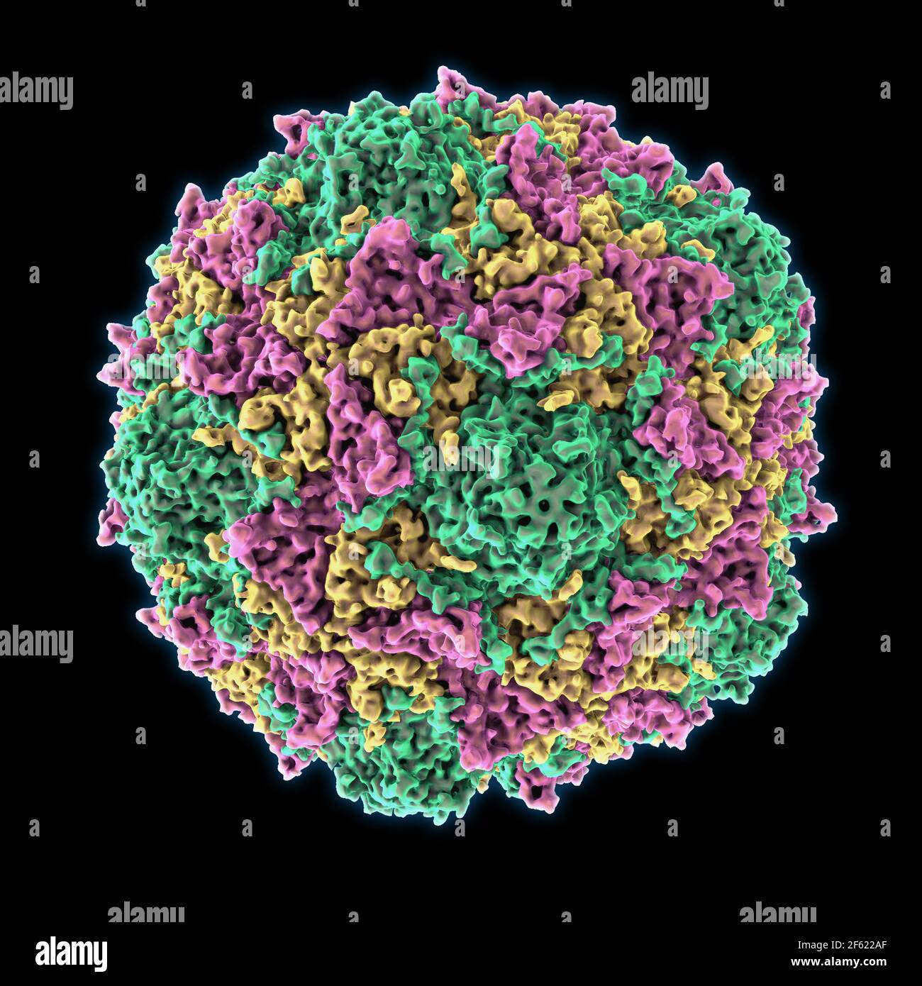 Poliovirus 3d Model
