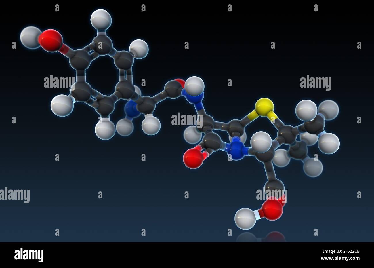 Amoxicillin molecular model hi-res stock photography and images - Alamy