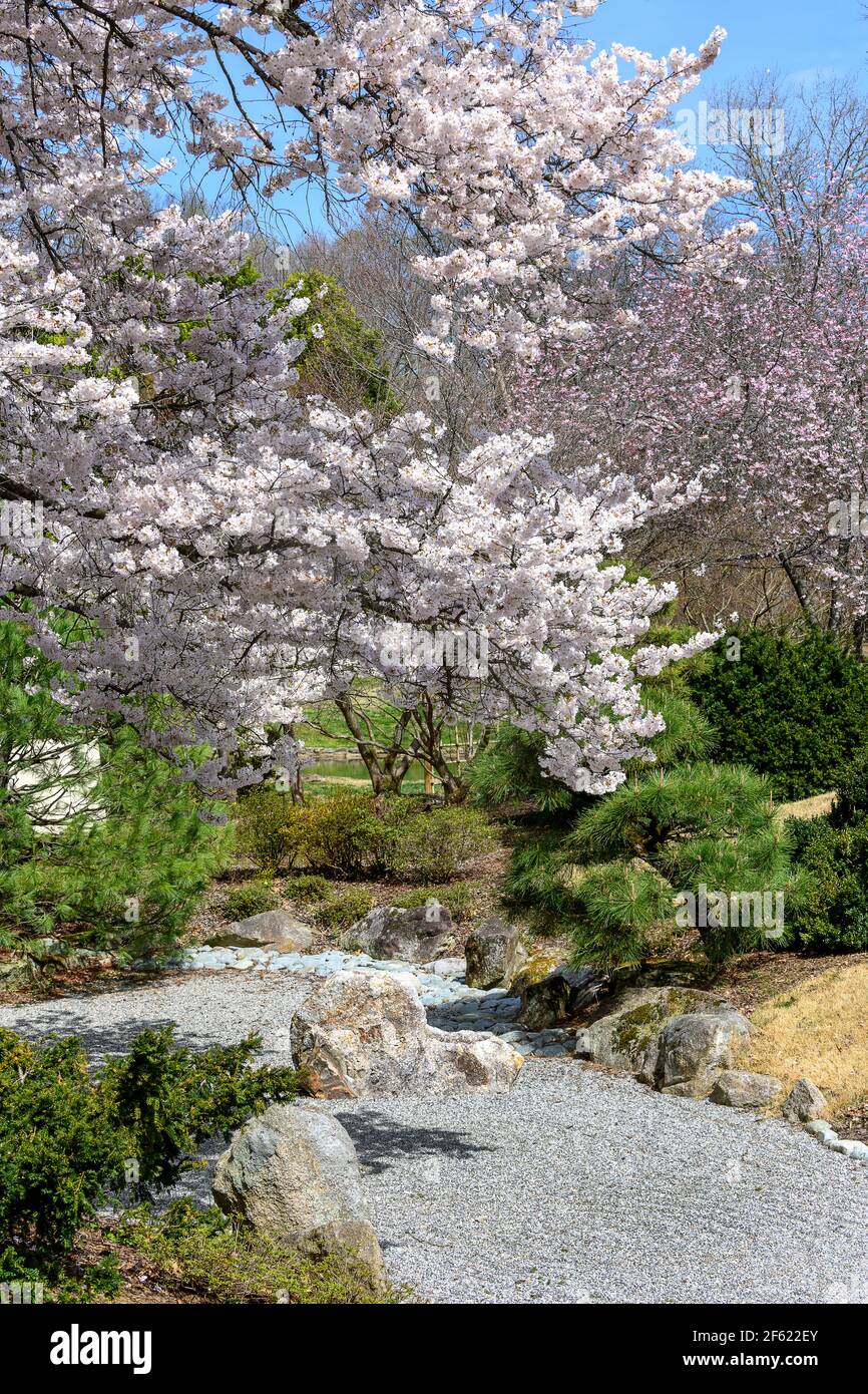 Cheekwood Botanical Gardens, Nashville, N Stock Photo - Alamy