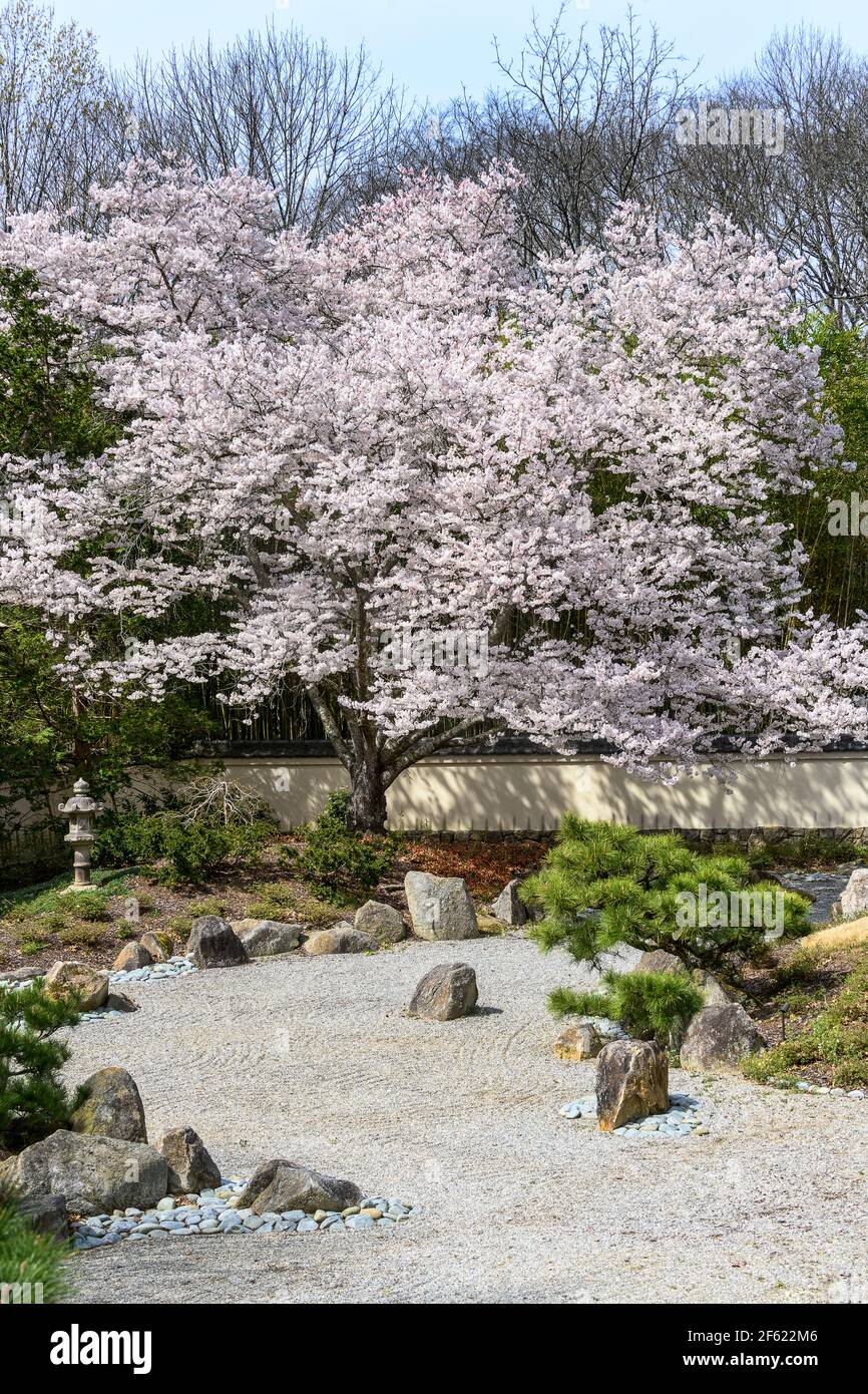 Cheekwood botanical gardens hi-res stock photography and images - Alamy