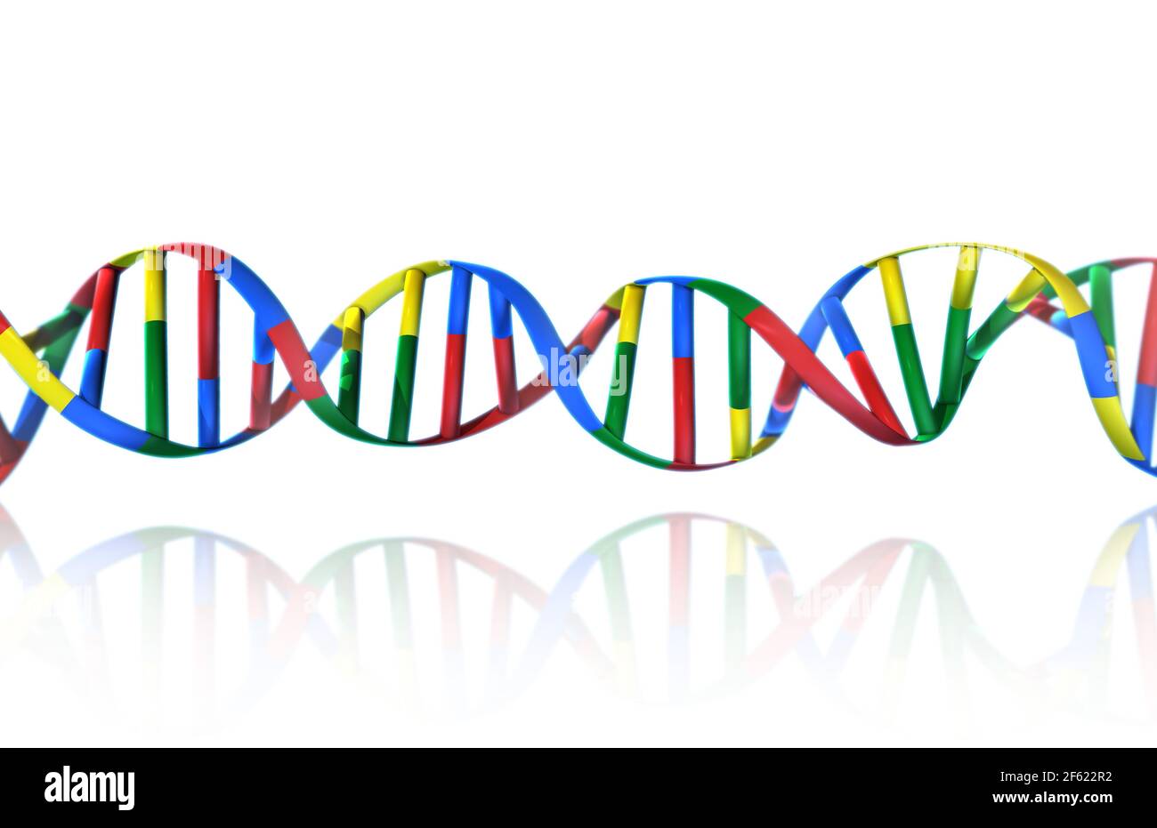 Thymine dna molecule model 3d hi-res stock photography and images - Alamy