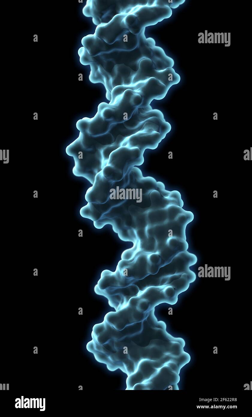 Dna model molecule hi-res stock photography and images - Alamy