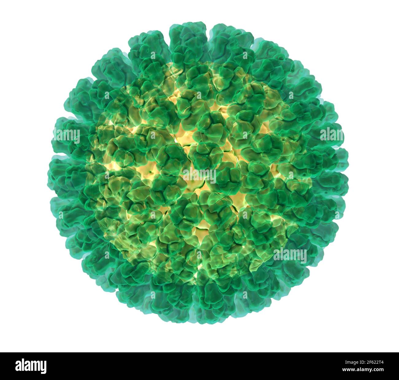 Rotavirus 3d Cut Out Stock Images & Pictures - Alamy