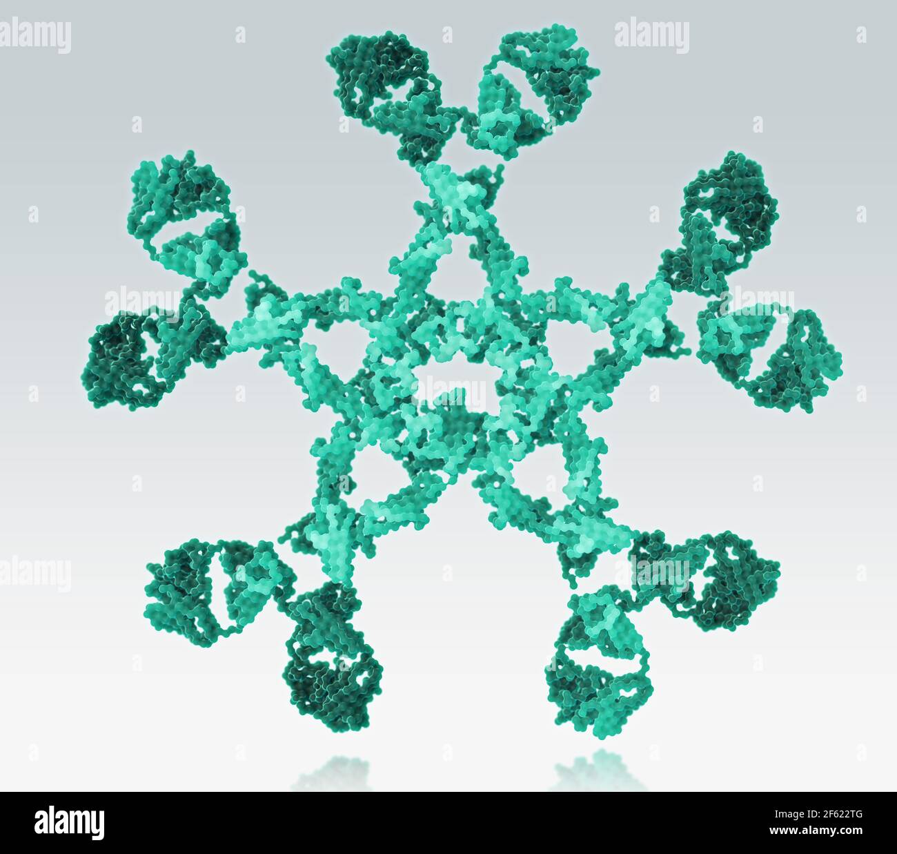 Immunoglobulin M, antibody Stock Photo - Alamy