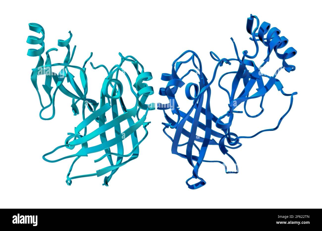 Ribbon model rna hi-res stock photography and images - Alamy