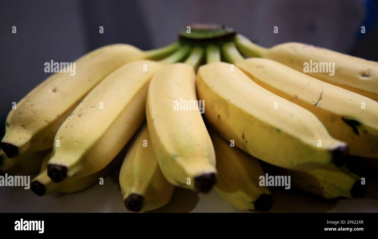 salvador, bahia / brazil - may 08, 2020: bunch of bananas is seen in ...