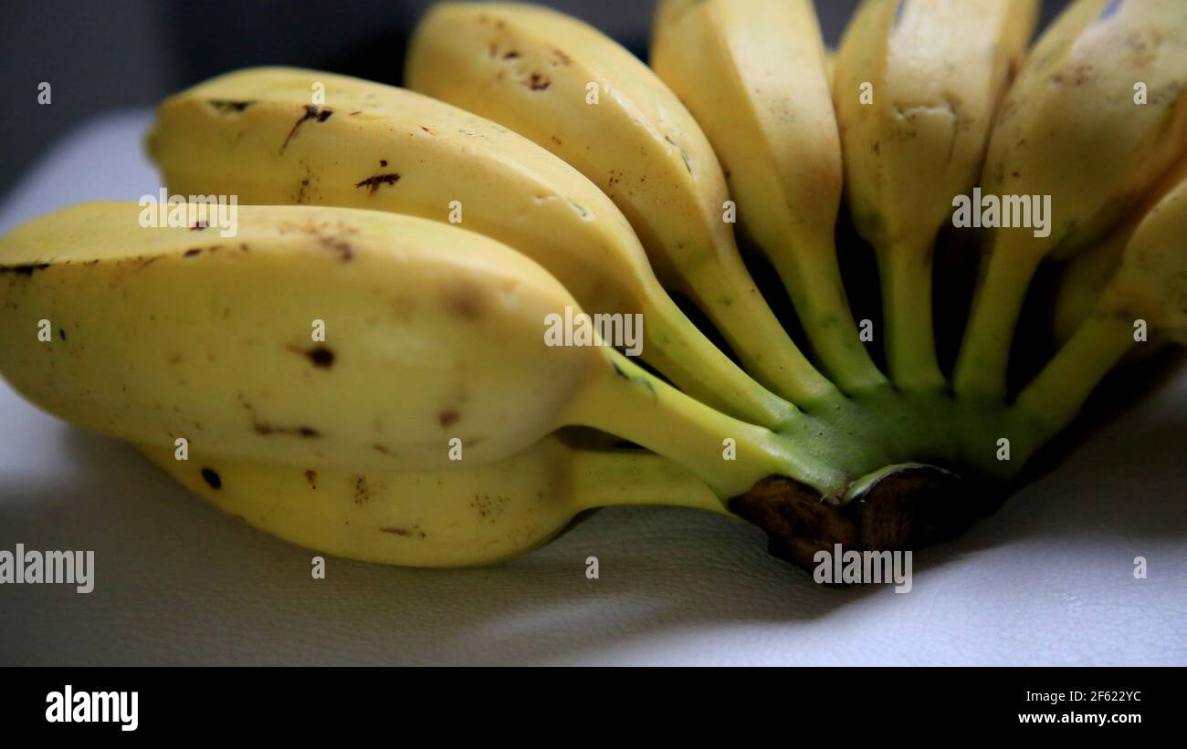 salvador, bahia / brazil - may 08, 2020: bunch of bananas is seen in ...