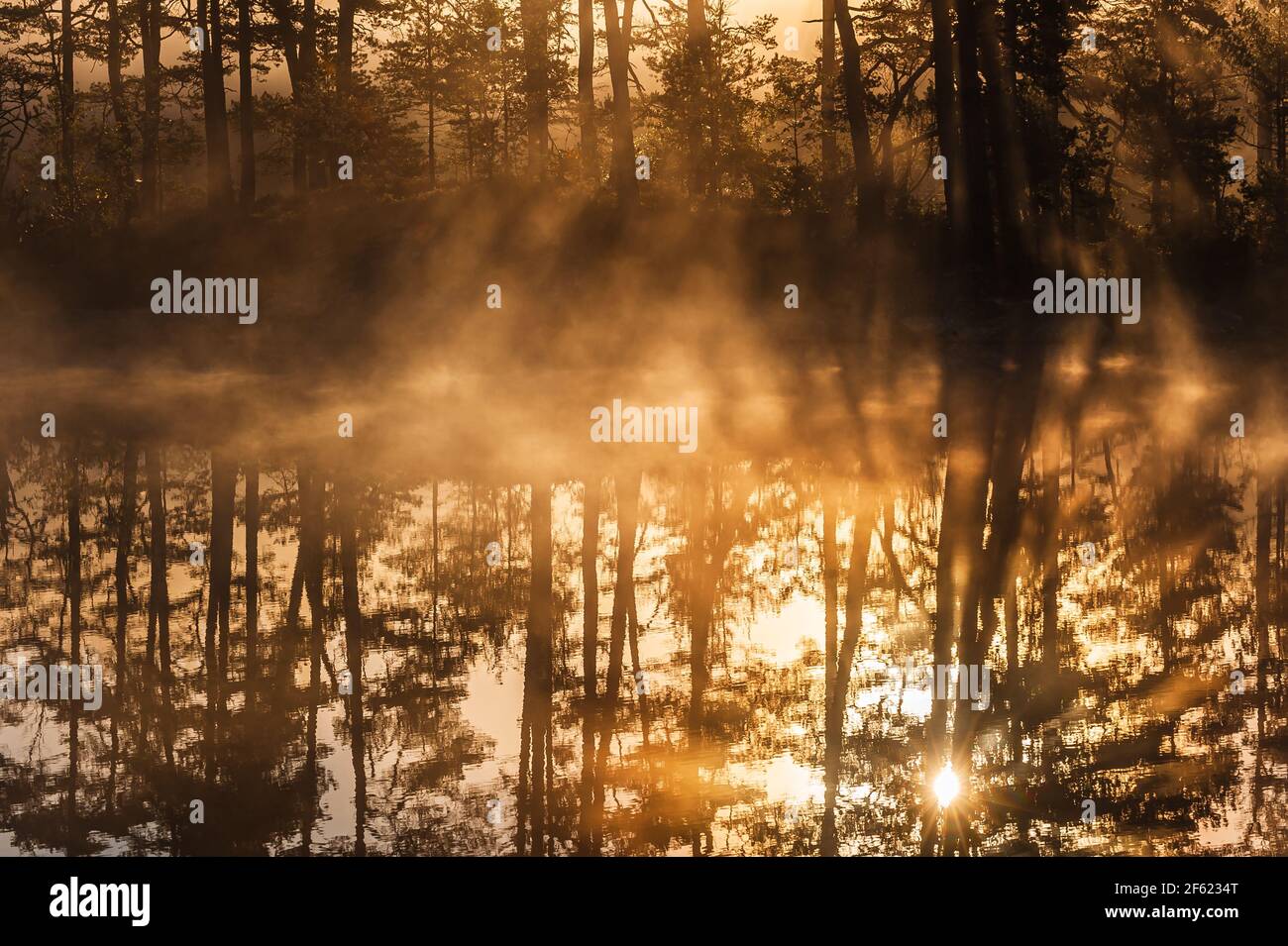 Stunning sunrise through trees and reflected on still lake Stock Photo ...