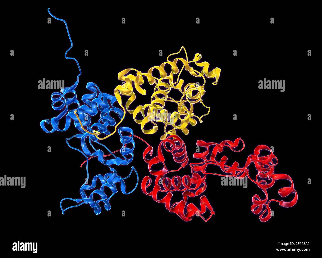 Antimicrobial enzyme hi-res stock photography and images - Alamy