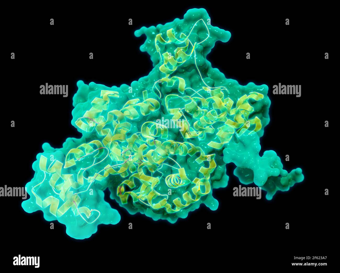 Antimicrobial enzyme hi-res stock photography and images - Alamy