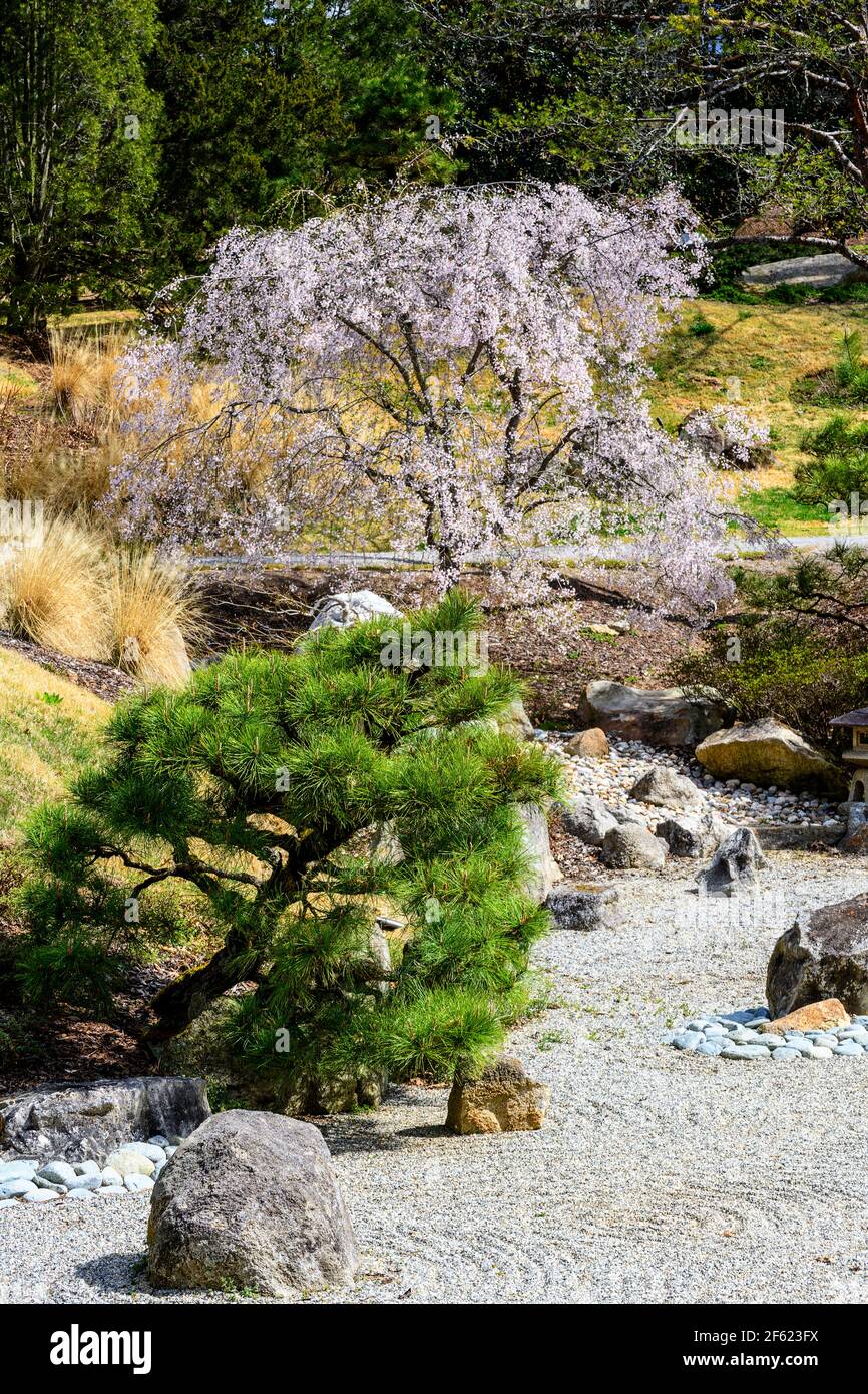 Cheekwood Botanical Gardens, Nashville, N Stock Photo - Alamy