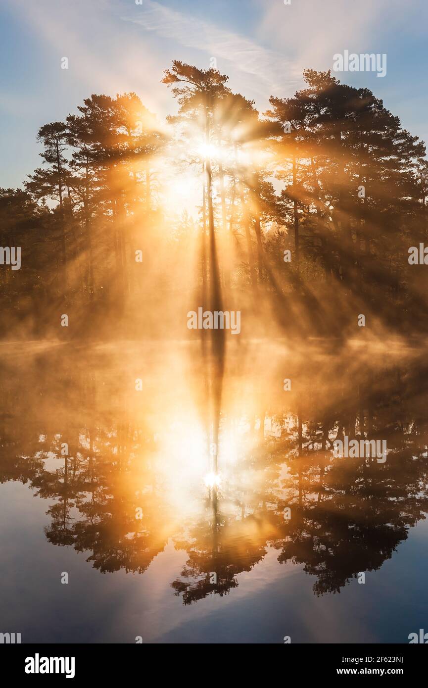 Stunning sunrise through trees and reflected on still lake Stock Photo ...