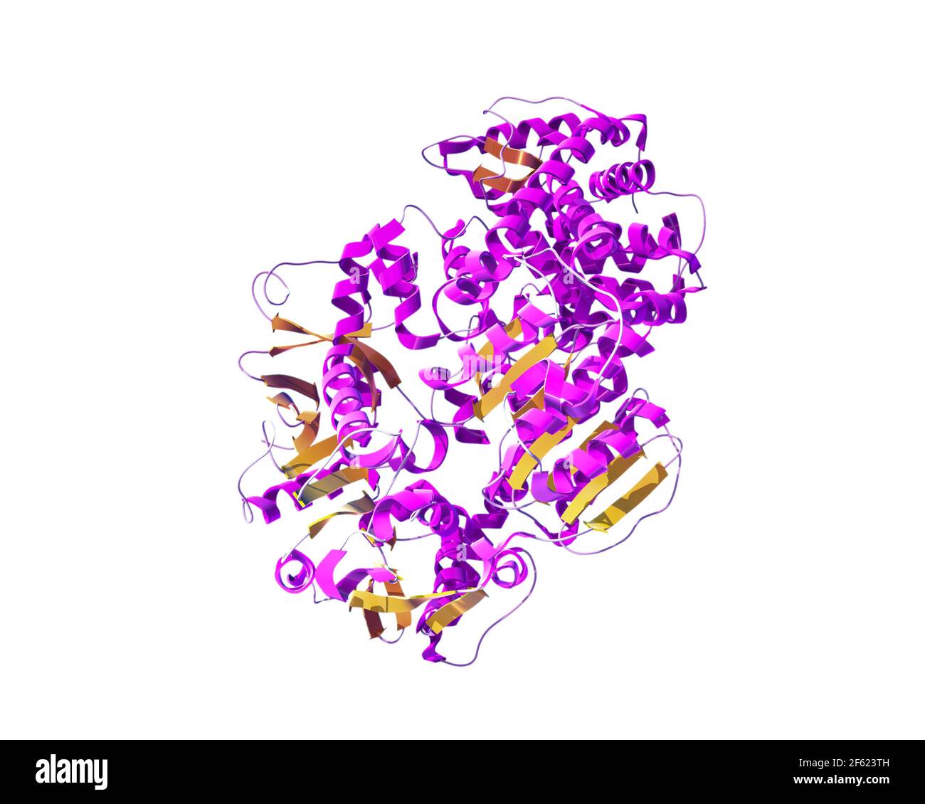 CRISPR, Molecular Model Stock Photo - Alamy