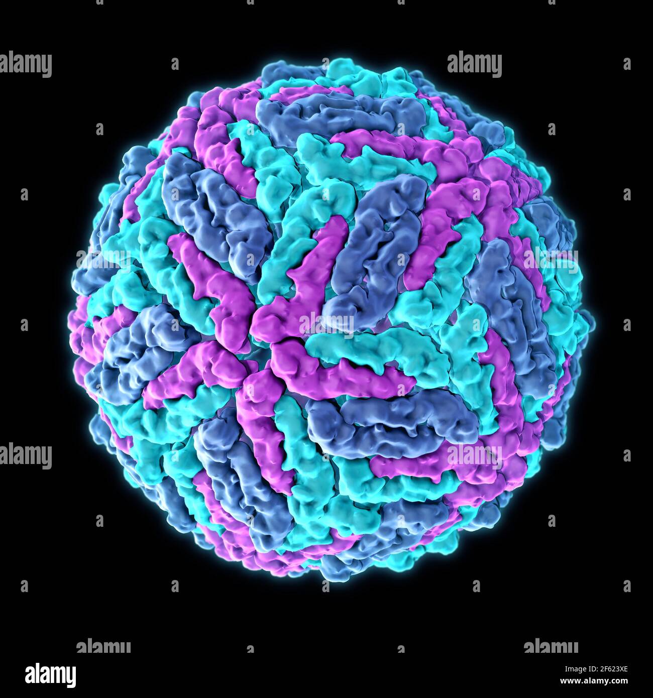 Zika virus, Molecular Model Stock Photo - Alamy