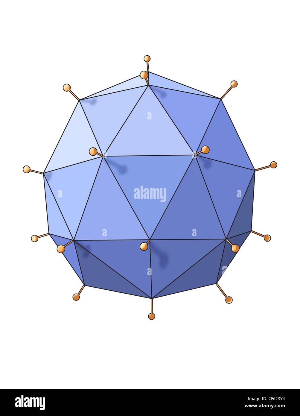 Virus Shape, Polyhedral, Illustration Stock Photo - Alamy