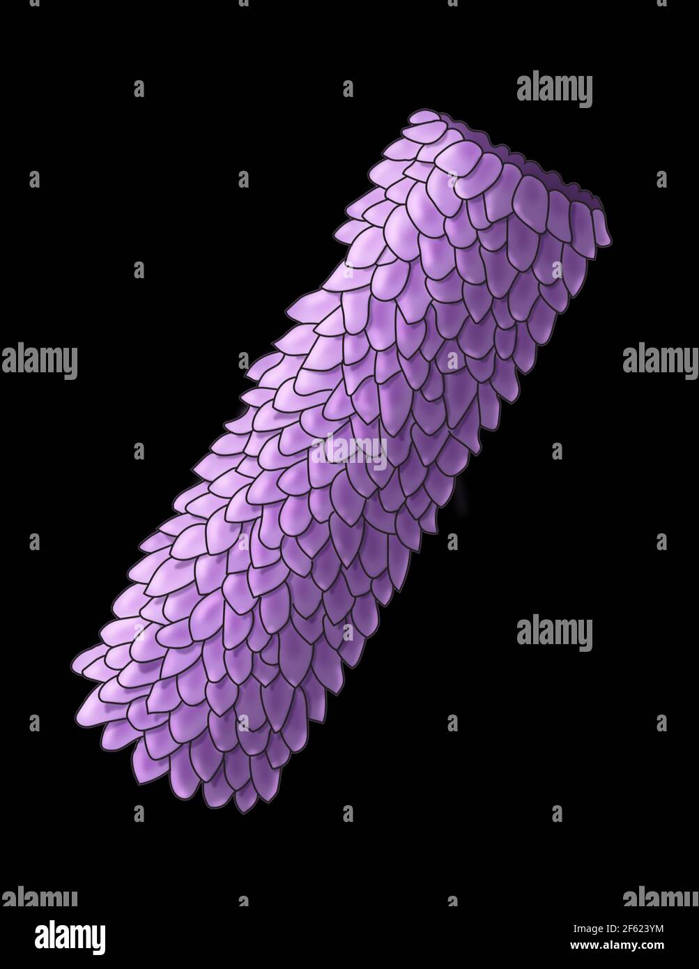 Virus Shape, Polyhedral, Illustration Stock Photo - Alamy