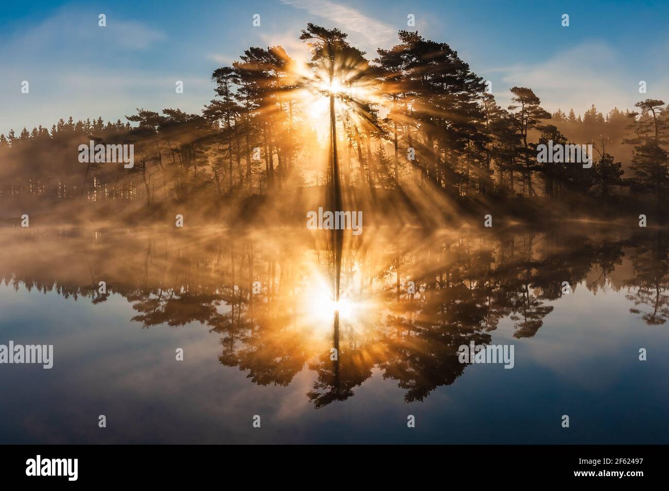 Stunning sunrise through trees and reflected on still lake Stock Photo ...