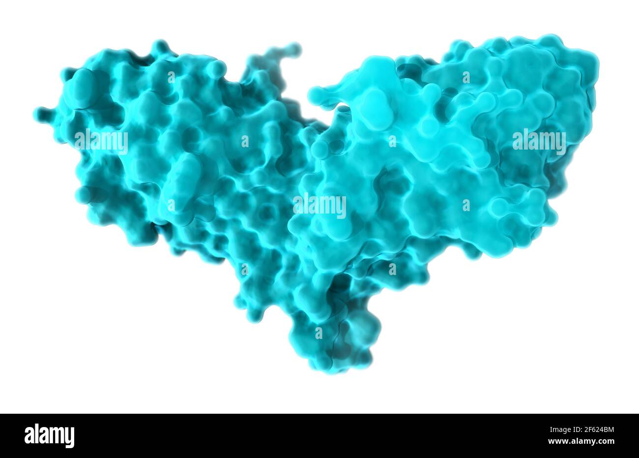 CTLA-4, Molecular Model Stock Photo - Alamy CTLA-4, Molecular Model Stock Photo - Alamy
