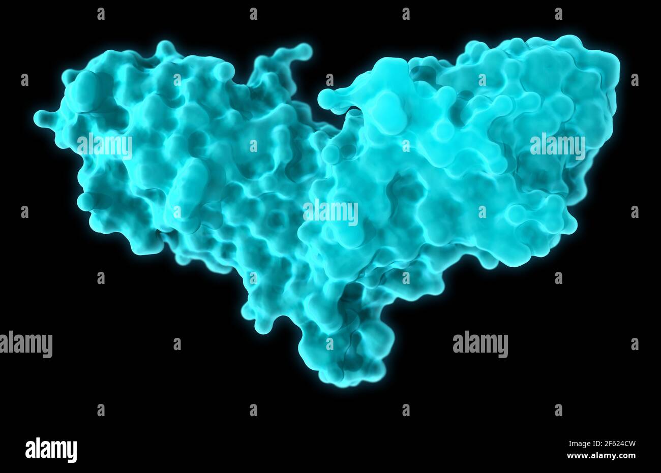 CTLA-4, Molecular Model Stock Photo - Alamy CTLA-4, Molecular Model Stock Photo - Alamy