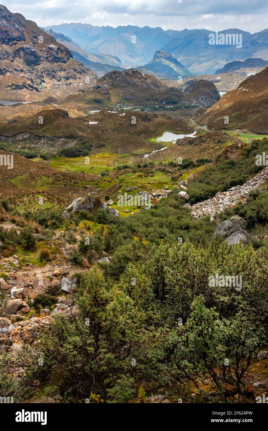Parque Nacional El Cajas High Resolution Stock Photography and Images ...