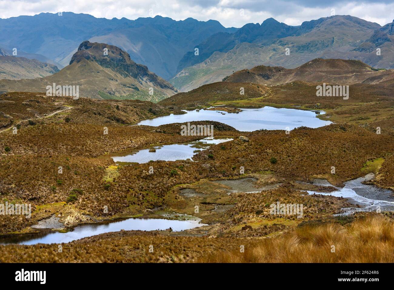 El Cajas National Park (Parque Nacional El Cajas) in Azuay Province in ...