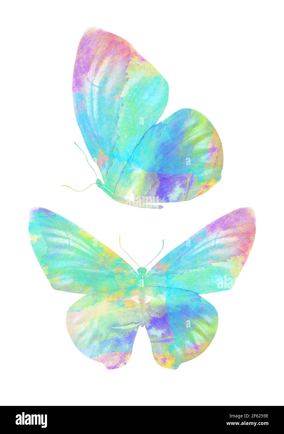 multicolor watercolor butterfly. tropical insect for design. isolated ...
