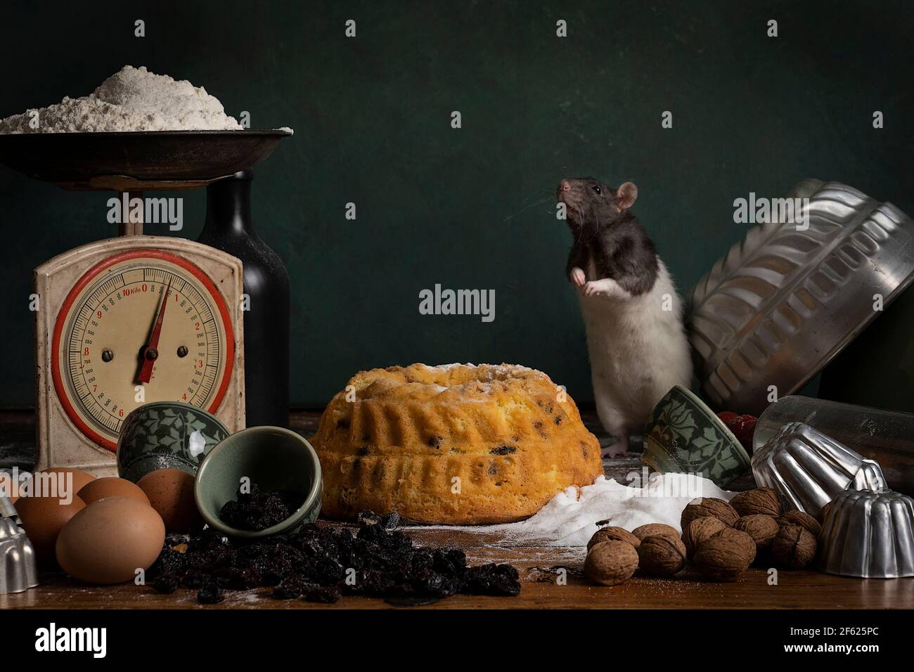 A Cute white and brown rat sitting in a stil life scene themed baking ...
