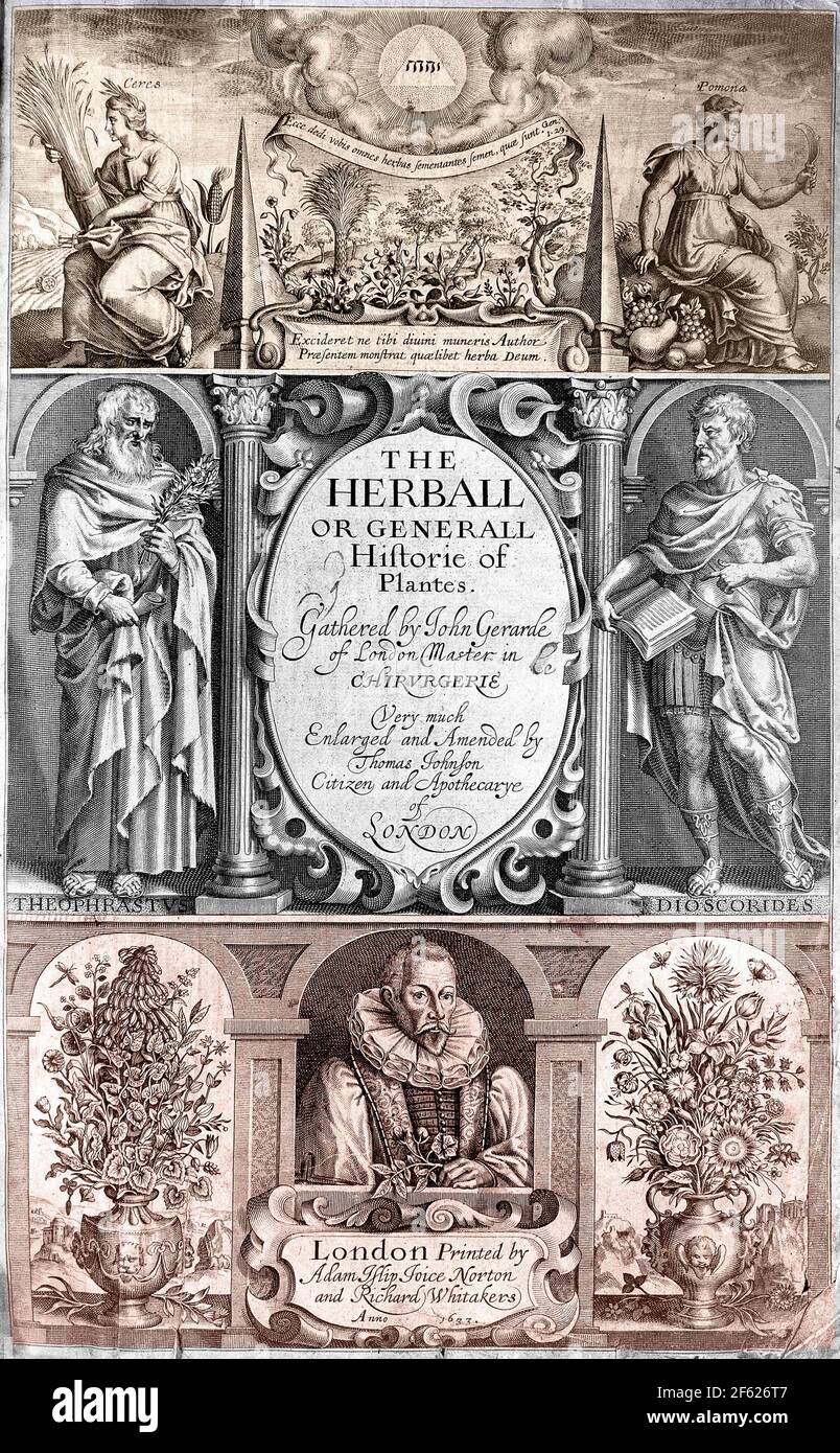 Theophrastus and dioscorides hi-res stock photography and images - Alamy