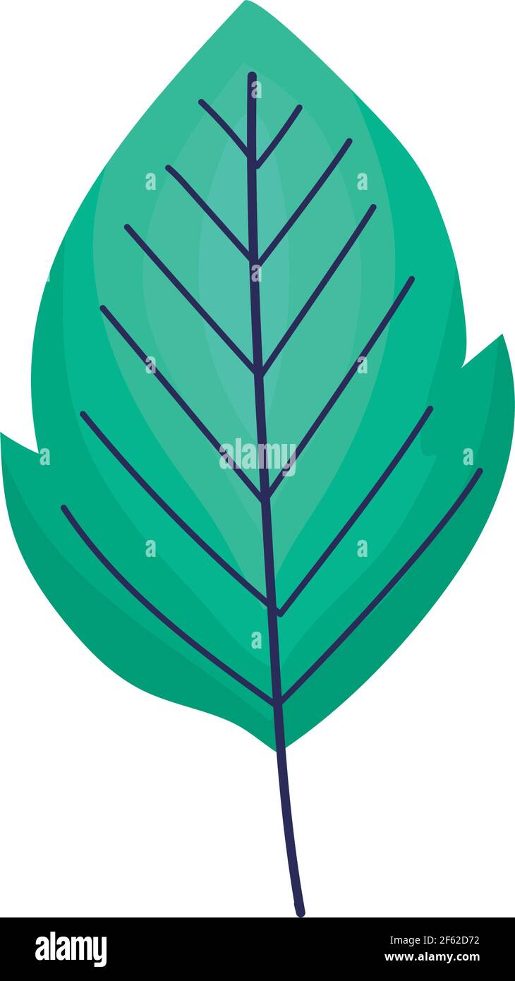 emerald leaf icon Stock Vector Image & Art - Alamy