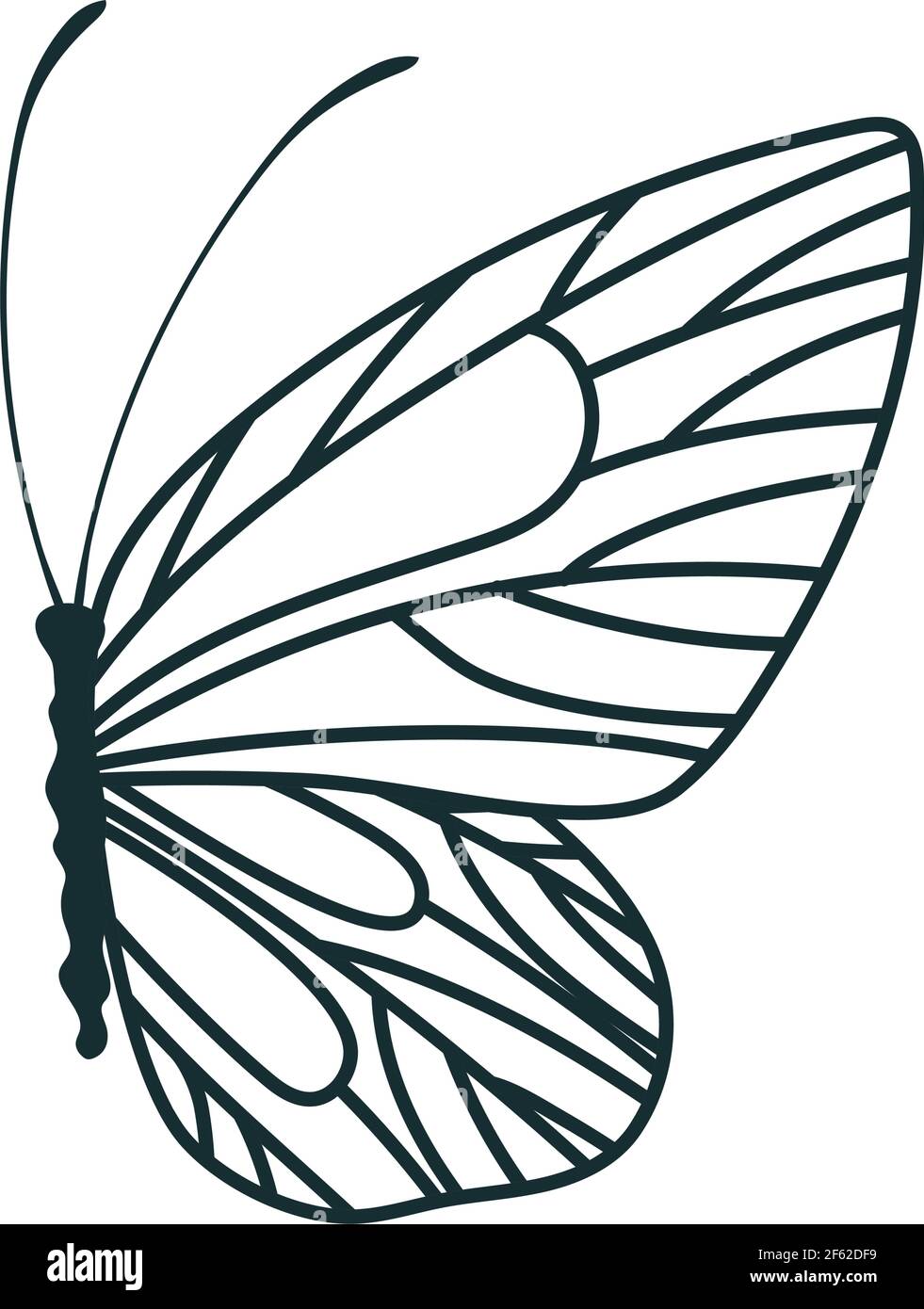 beautiful butterfly icon Stock Vector Image & Art - Alamy
