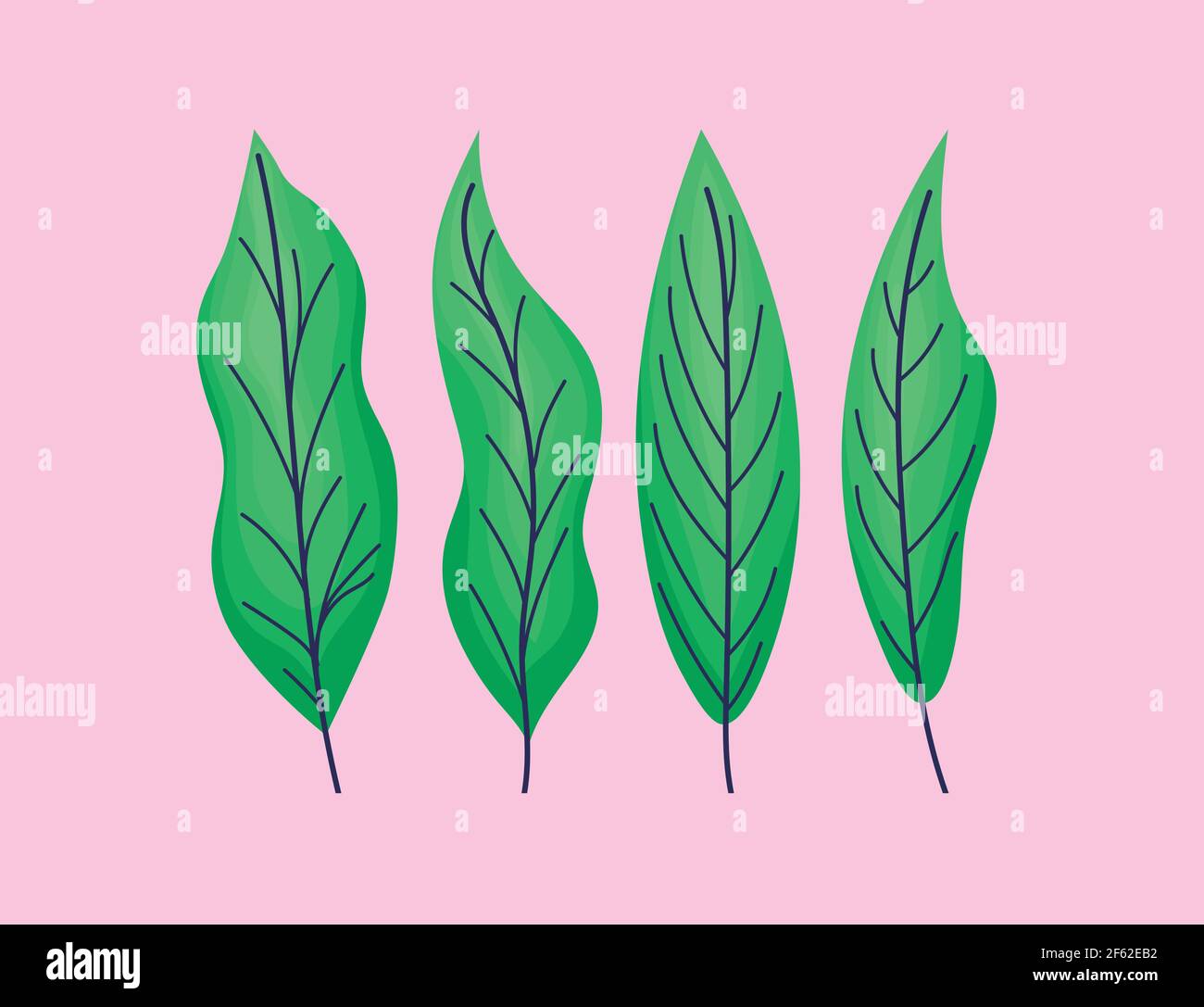 four green leaves Stock Vector Image & Art - Alamy
