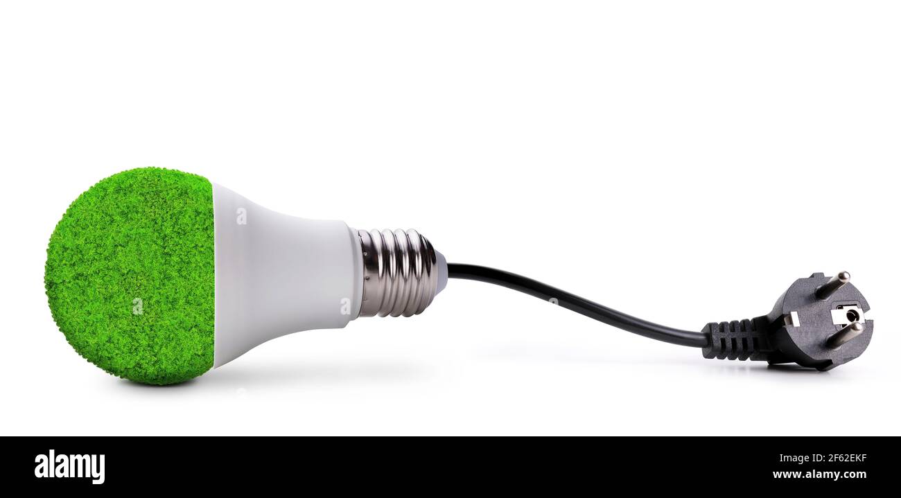 Eco LED bulb with electric plug isolated on white background.Saving ...