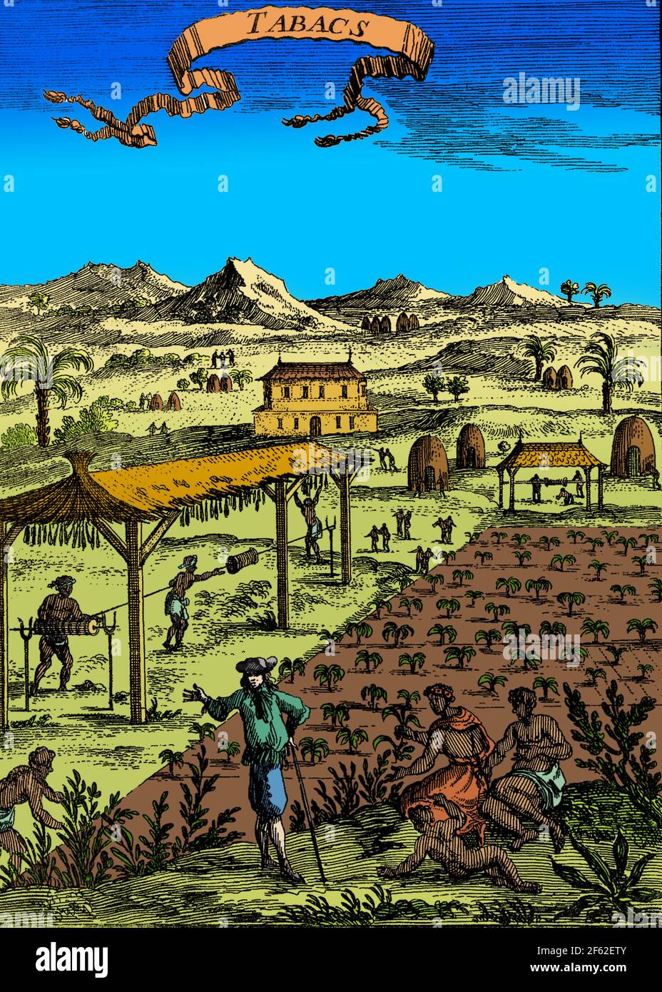 Slaves plantation hi-res stock photography and images - Alamy