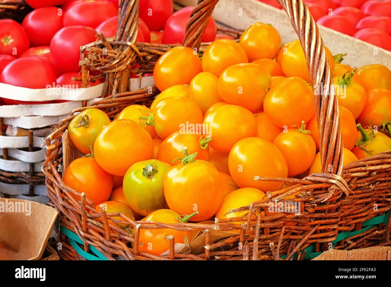 Organic, yellow tomatoes in wicker basket are sold at local vegetable ...