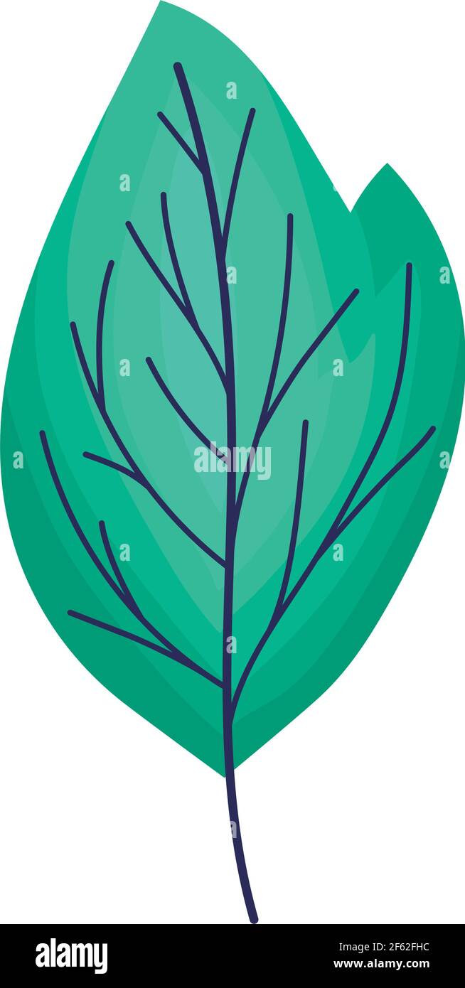 emerald leaf illustration Stock Vector Image & Art - Alamy