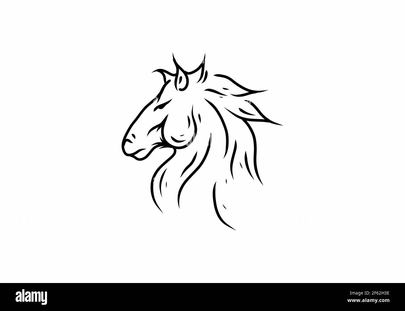 Horse line drawing doodle Stock Vector Images - Alamy