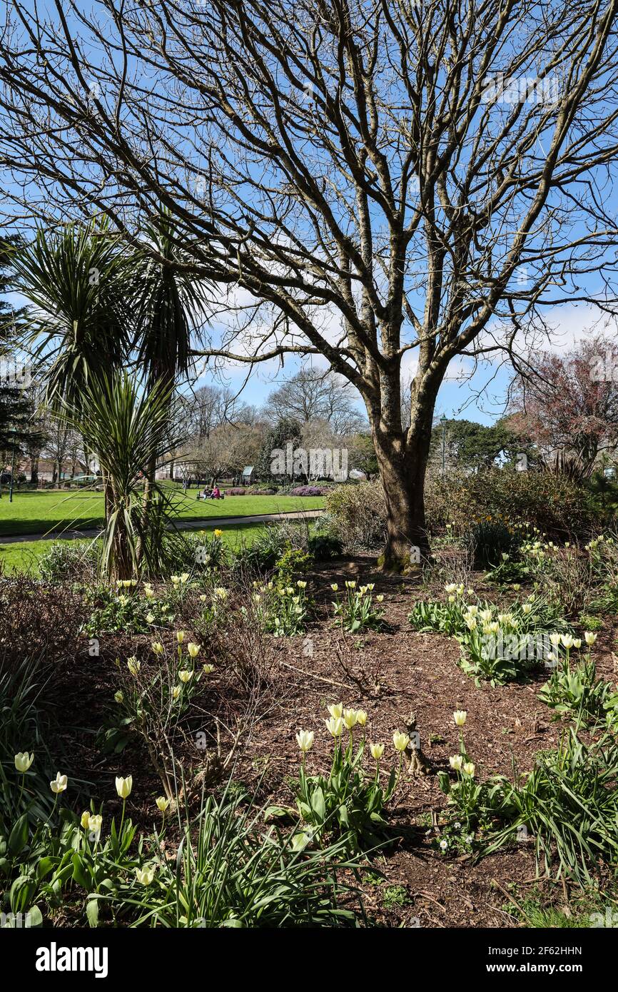 Colourful flower beds at Devonport Park in Plymouth welcome visitors on ...