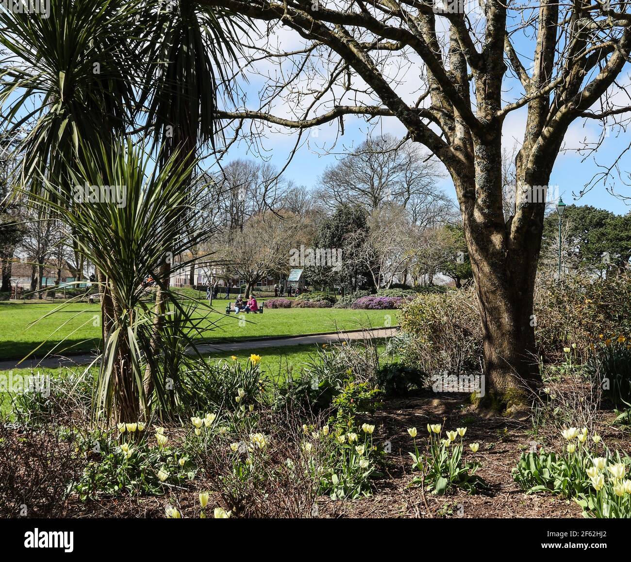Colourful flower beds at Devonport Park in Plymouth welcome visitors on ...