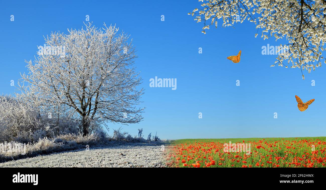 Winter and spring landscape with blue sky. Concept of change season ...