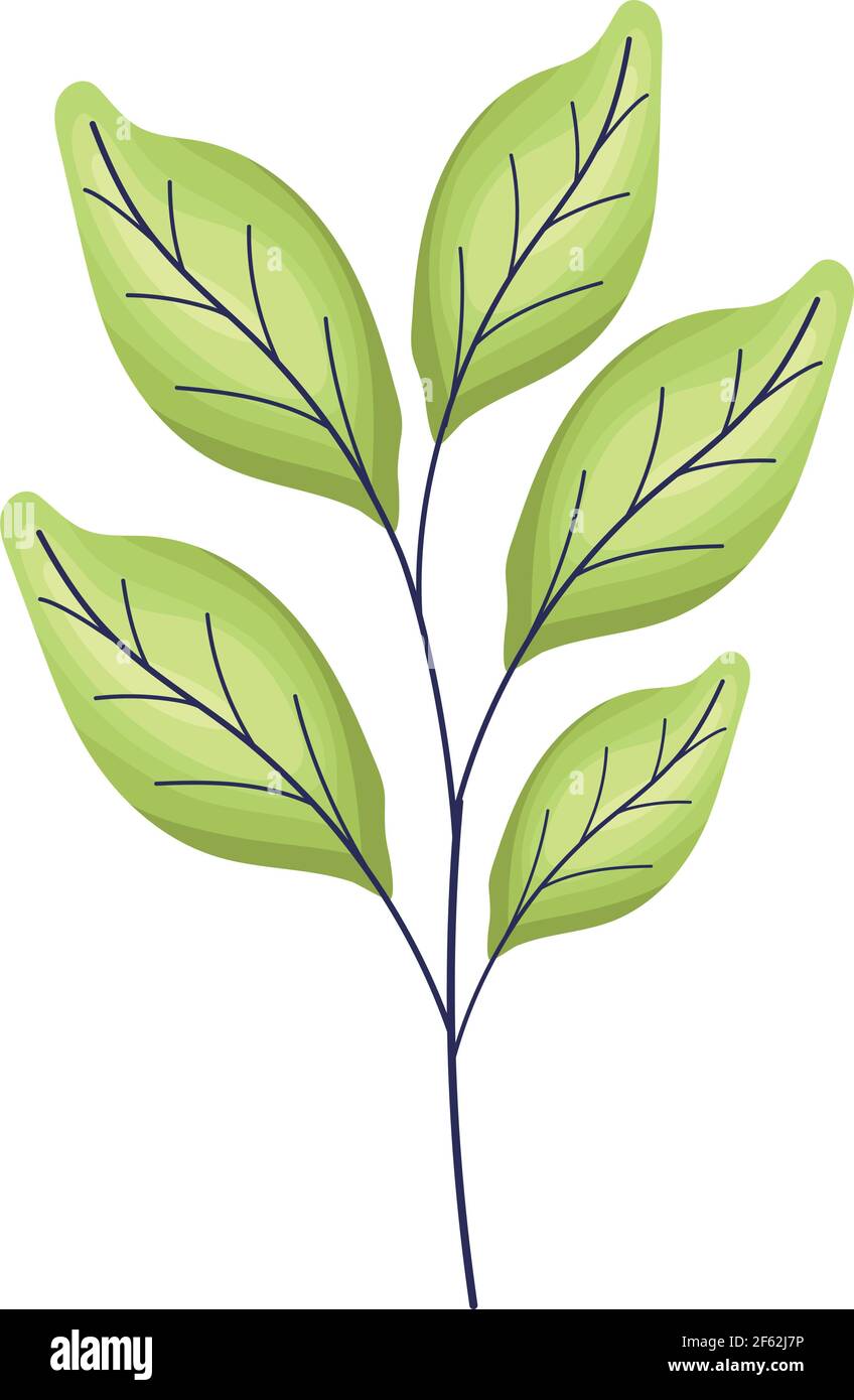 cute green leaves Stock Vector Image & Art - Alamy