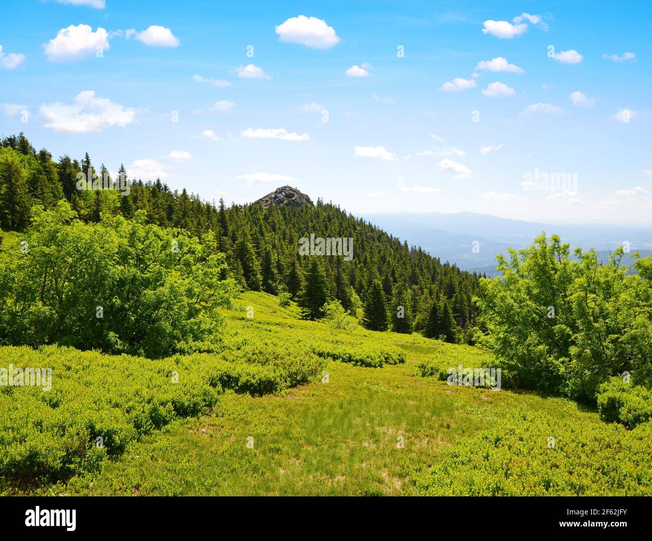 Summit of mountain Grosser Arber in National park Bayerische Wald ...