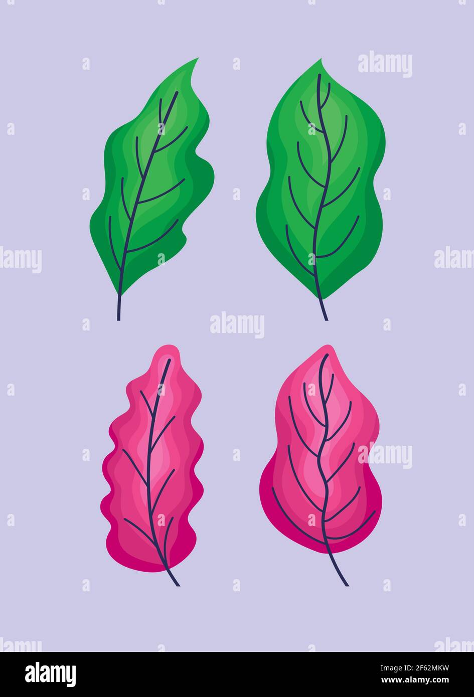 four leaves icons Stock Vector Image & Art - Alamy