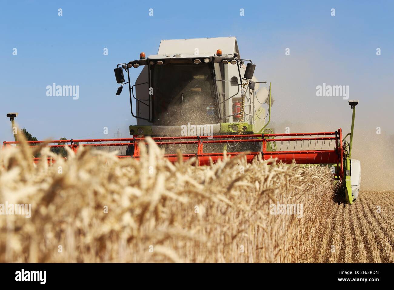 Agricultural cereal harvest with with combine harvester (Germany Stock ...