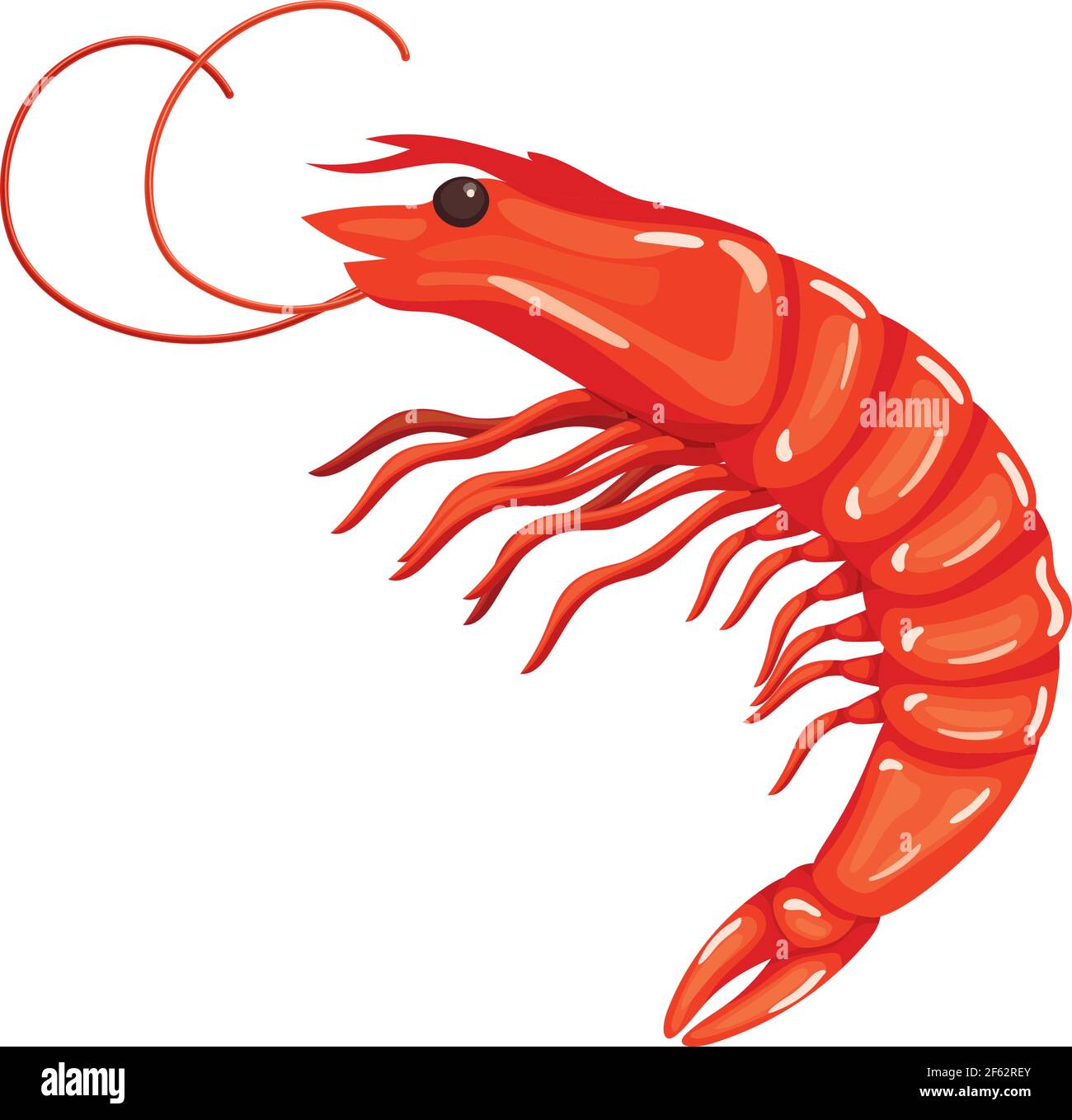 healthy shirmp icon Stock Vector Image & Art - Alamy