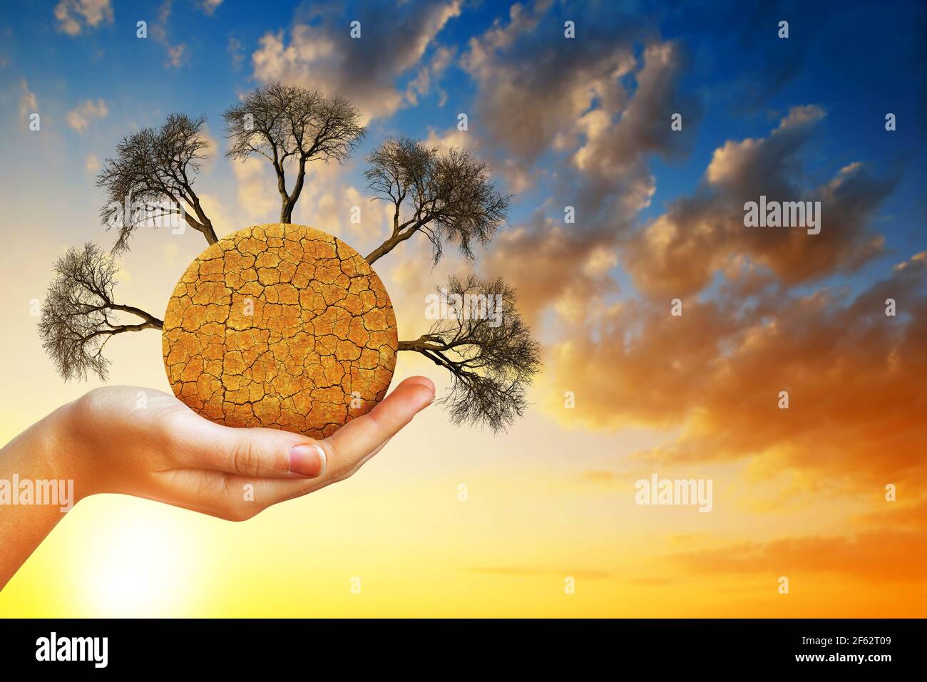 Dry planet with cracked soil and barren trees in hand,at the background ...