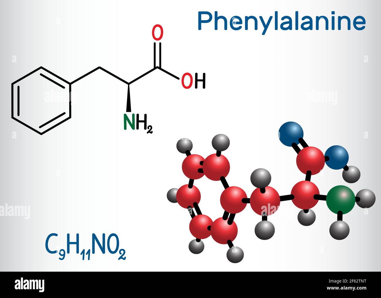 Phenylalanine (L-phenylalanine, Phe , F) amino acid molecule ...