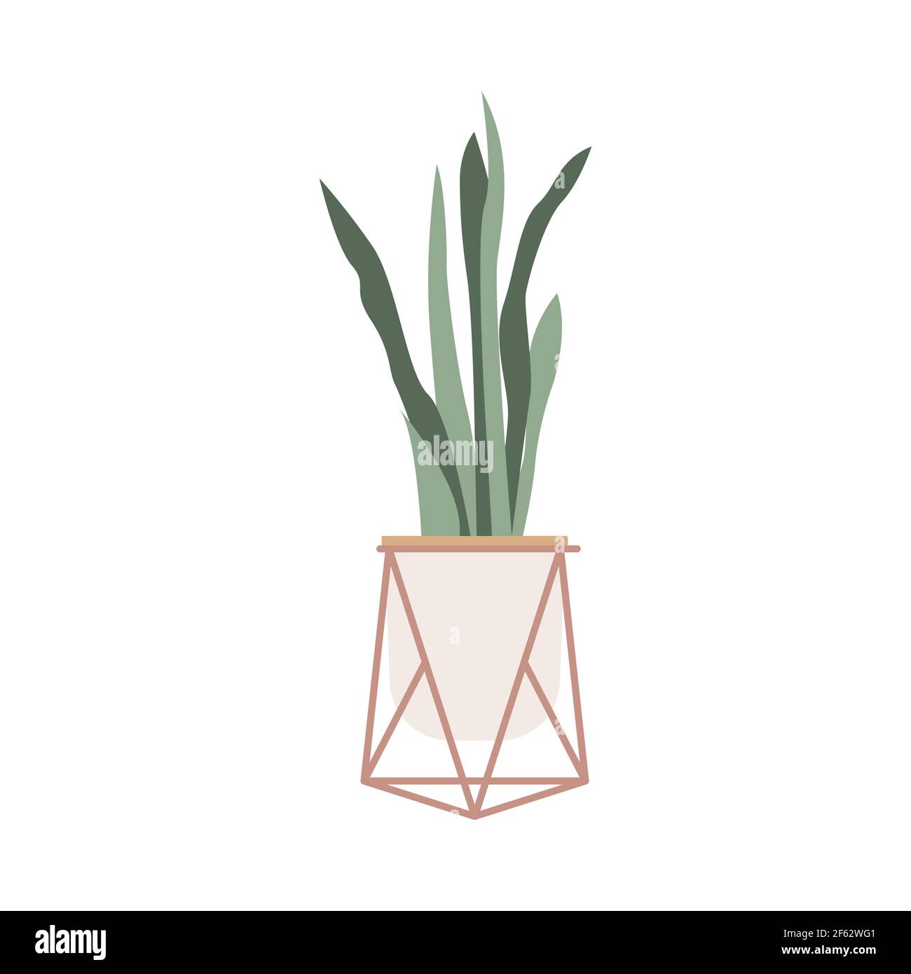 Herb with long leaves in modern geometric flower pot Flat design Stock ...