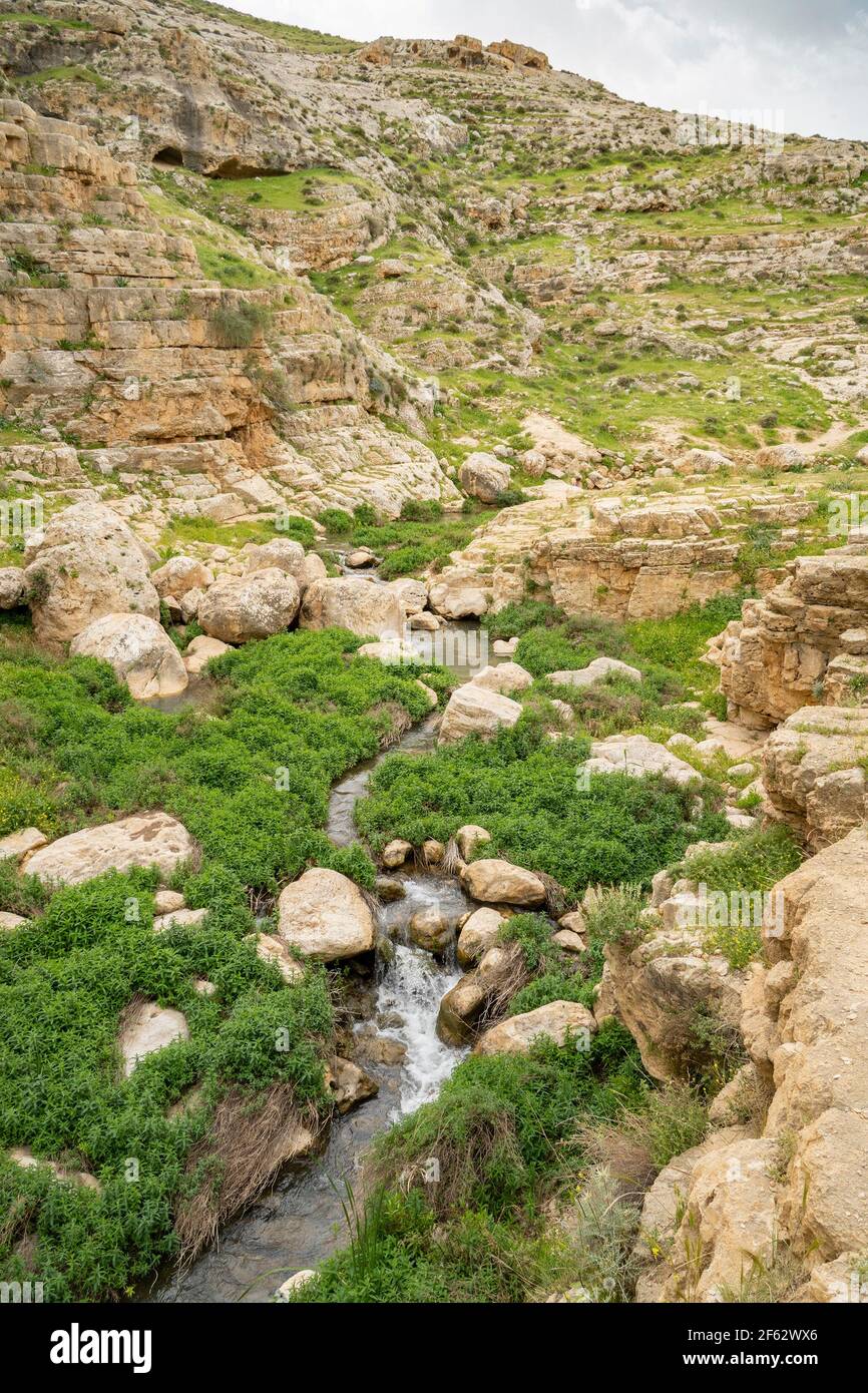 Wadi faran hi-res stock photography and images - Alamy