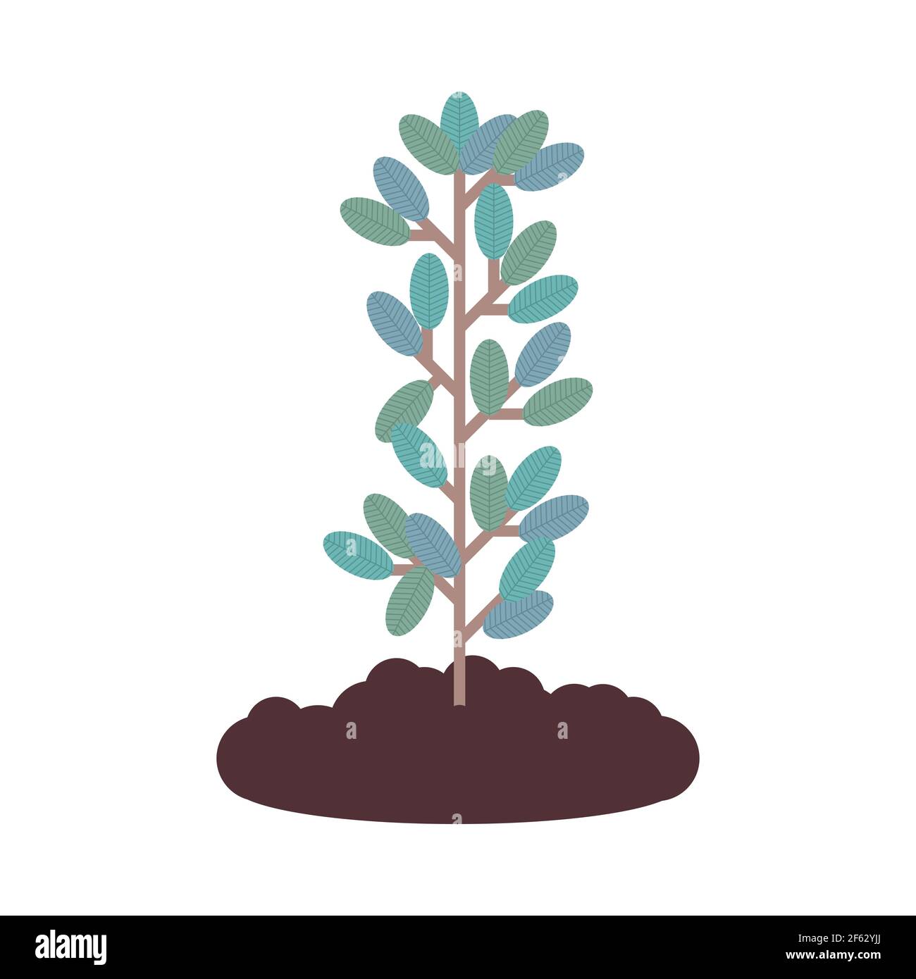 Soil isolated on white Stock Vector Images - Alamy