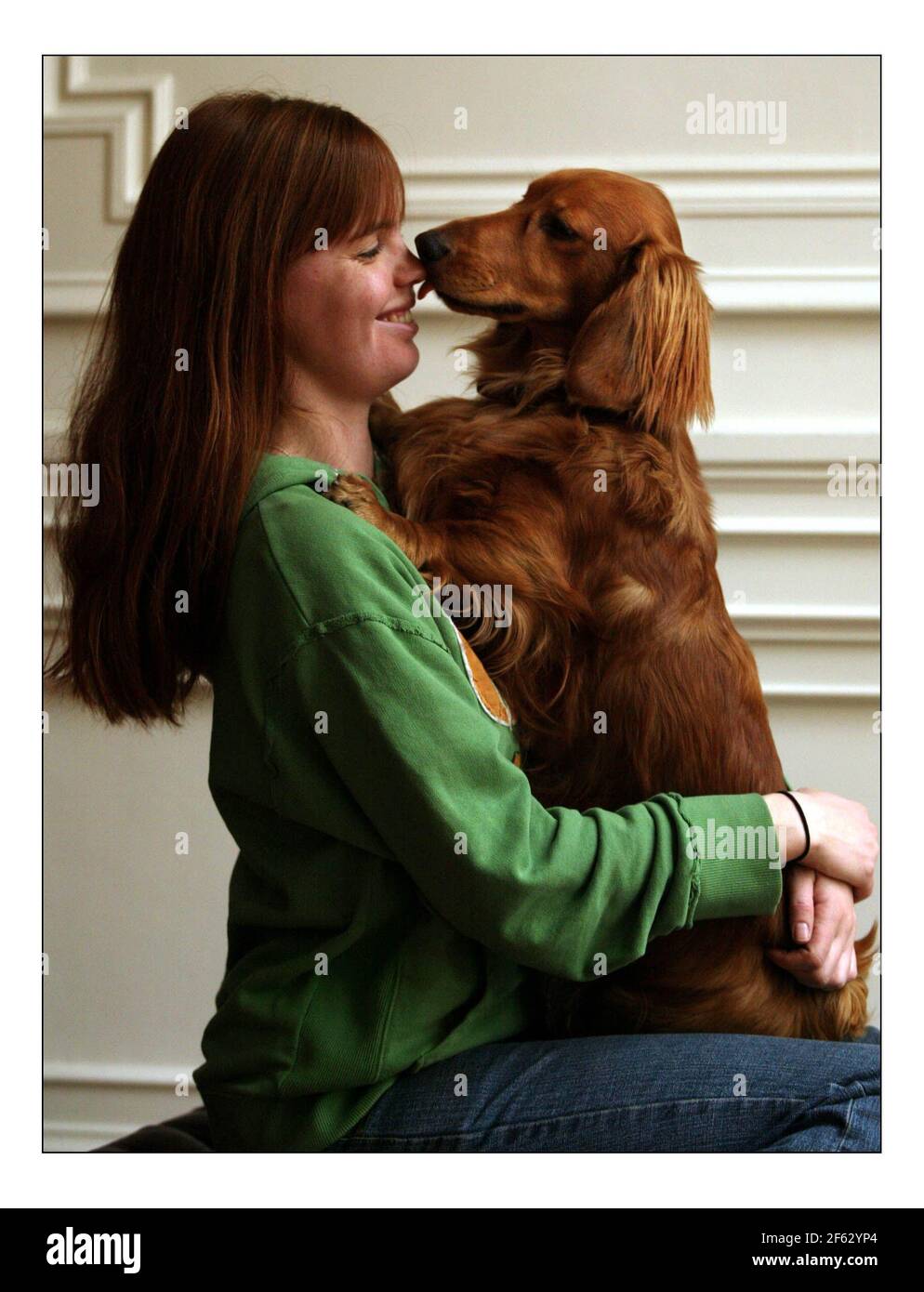 Preparing for the ring Rovi Kelner (dachshund) with handler Chamois ...